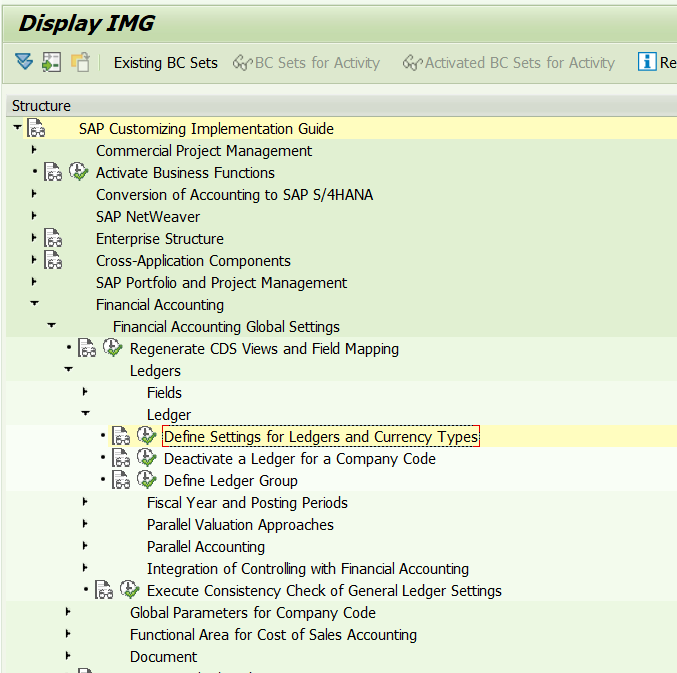 Freely-Definable Currency and Financial Statement Version (FSV) Setup ...