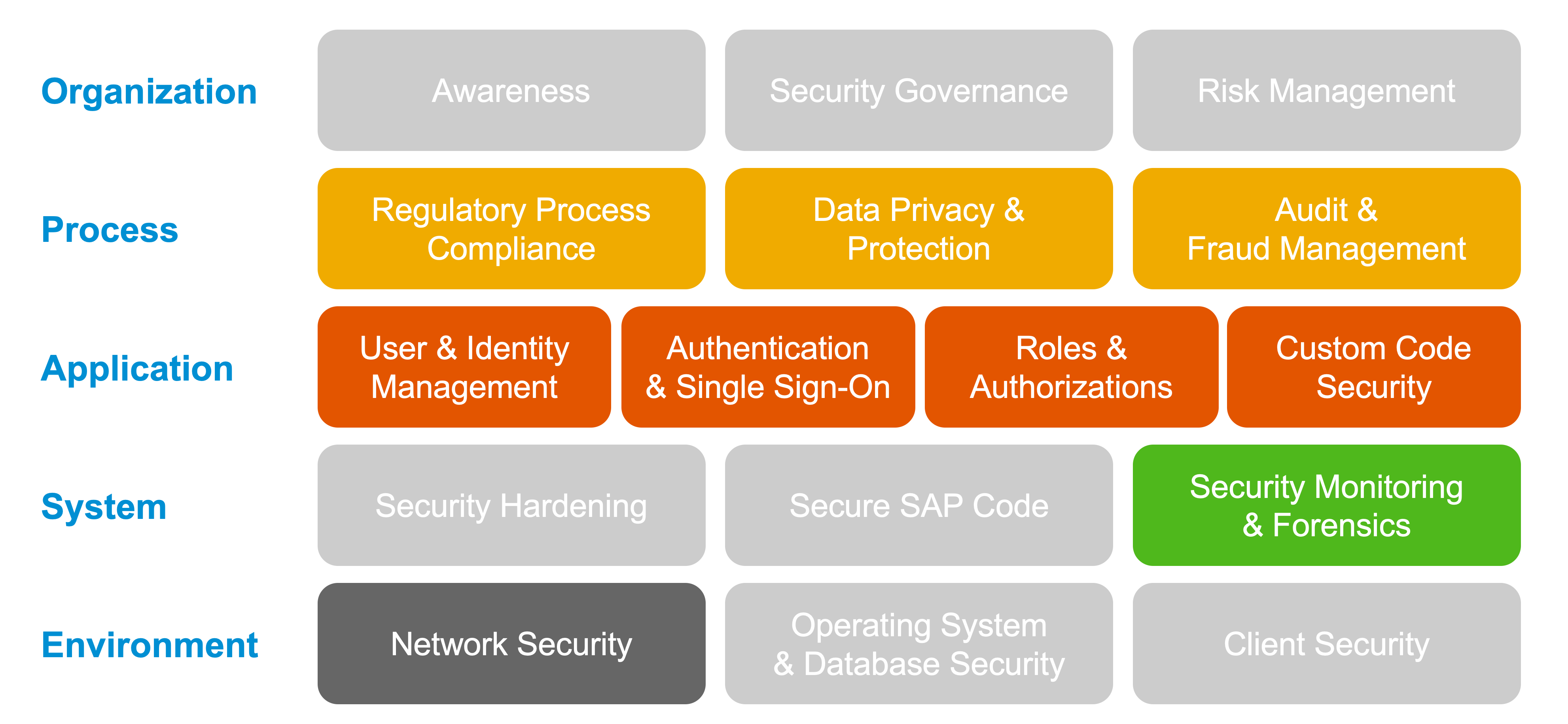 RISE with SAP and Its Impact on Security and Compliance - SAPinsider