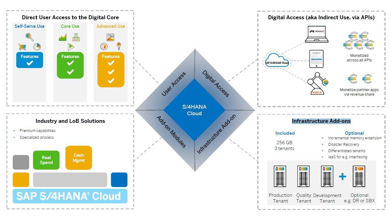 Demystifying Contracts and Licensing with RISE with SAP - SAPinsider
