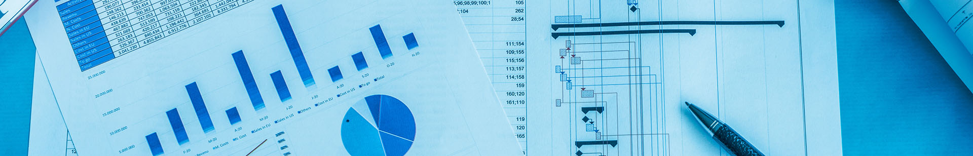 Cash Management and Cash Visibility – Research Report