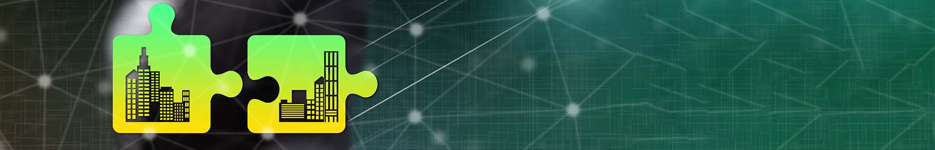 Successful SAP Implementation for Mergers & Acquisitions