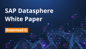 RapidViews - SAPinsider